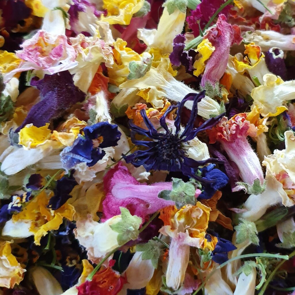 Dried Mixed Edible Flower – Organica Floret